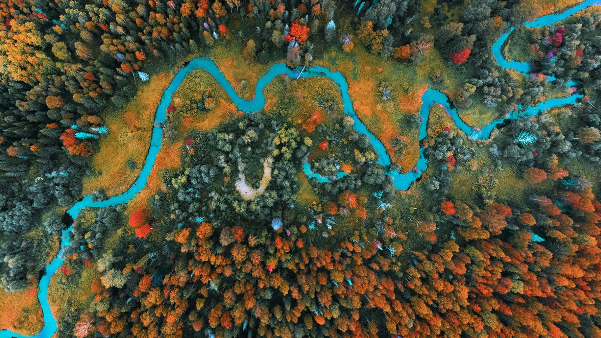 Alexander Forbes Beneficiary Fund